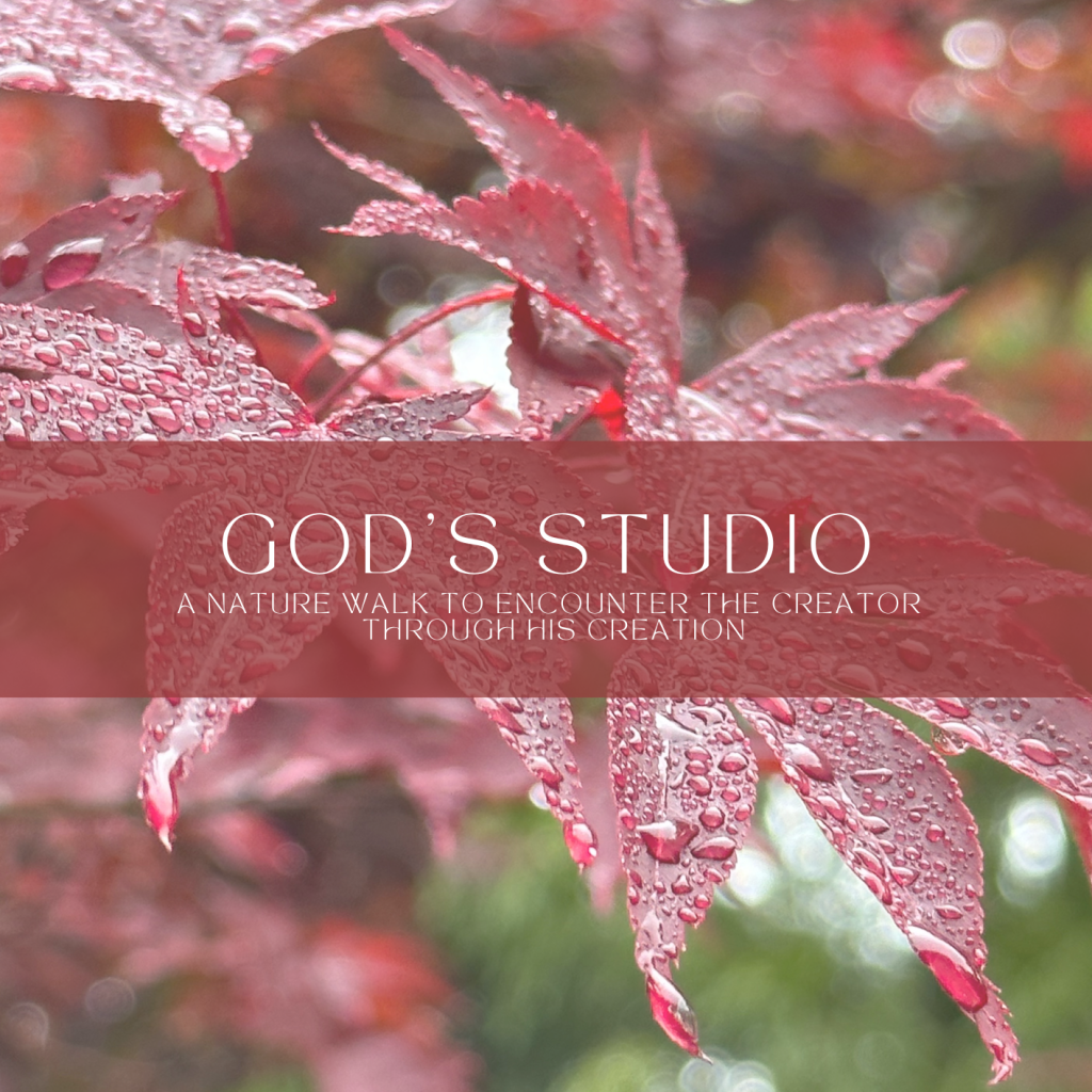 God’s Studio: A Guided Nature Reflection Resource - Lane M. Arnold